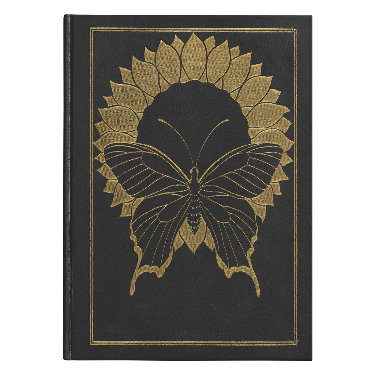 Picture of Dorian Gray Hardcover Lined Journal With 150 Perforated Pag ...